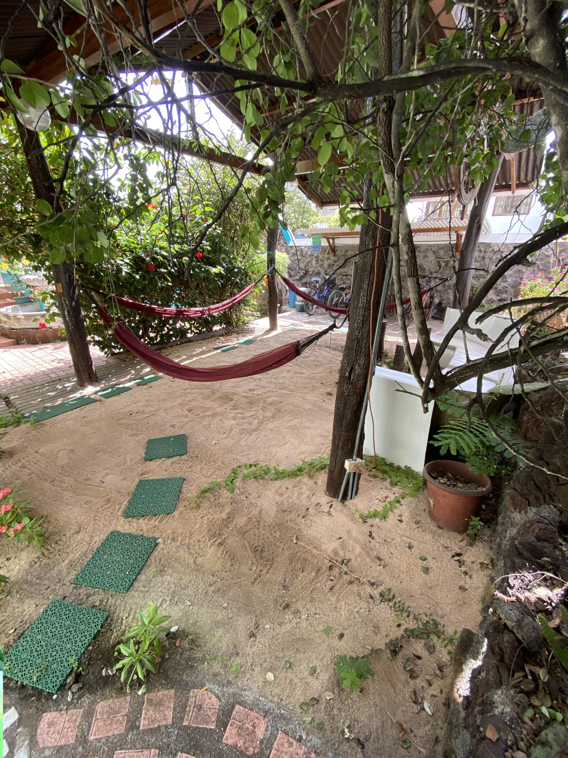 EDEN HOUSE – Galapagos Deep